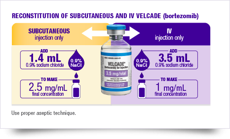 Velcade mises en garde et précautions
